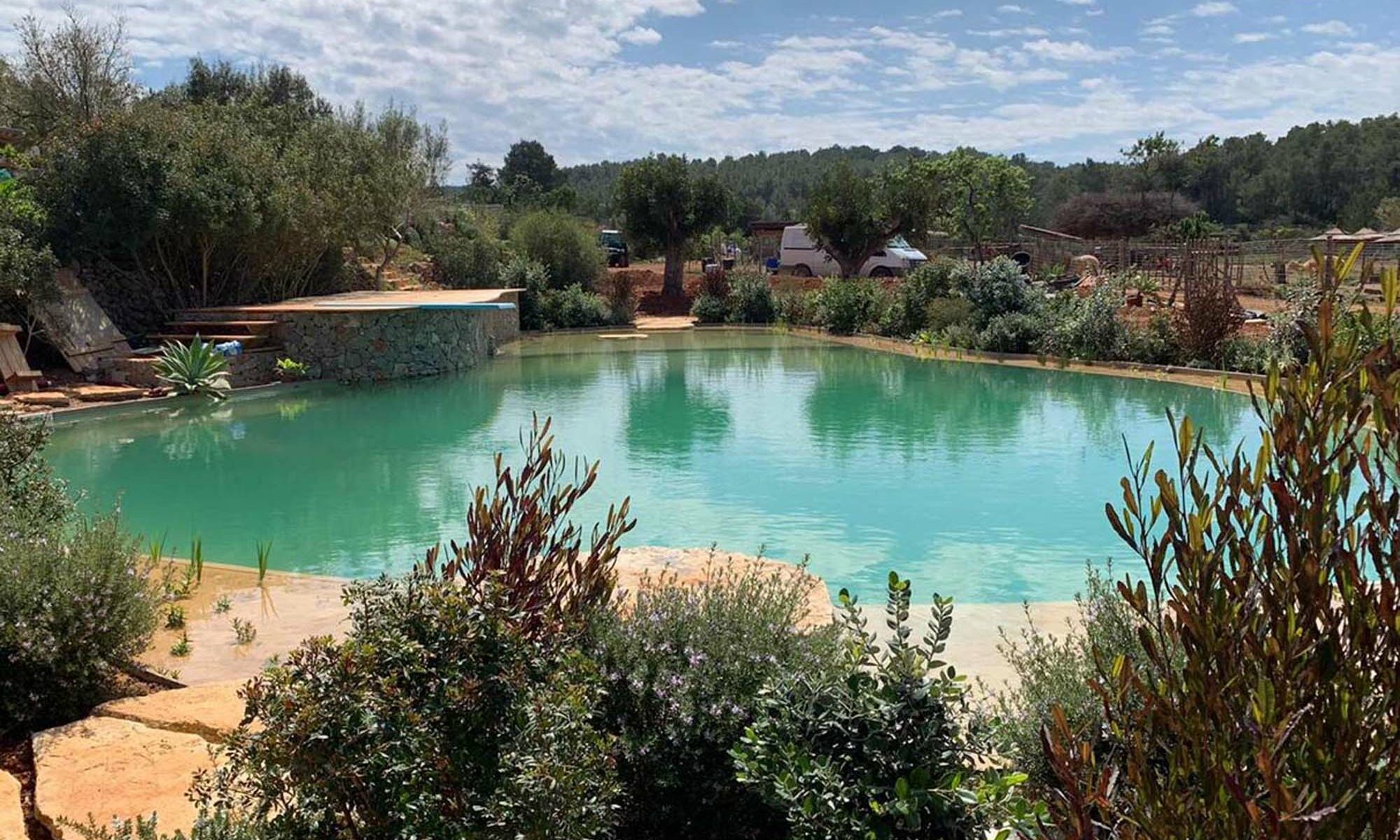 Swimming Ponds and Natural Pools - experts for natural swimming pools ...