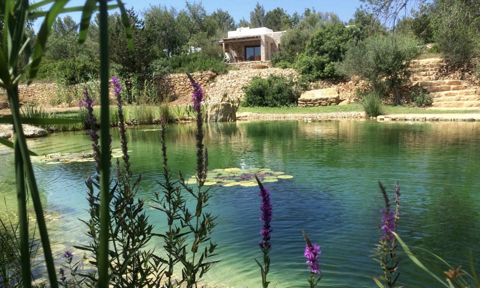theBIOPOOL - Experts for natural ponds